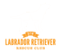 Available Dogs | DFW Labrador Retriever